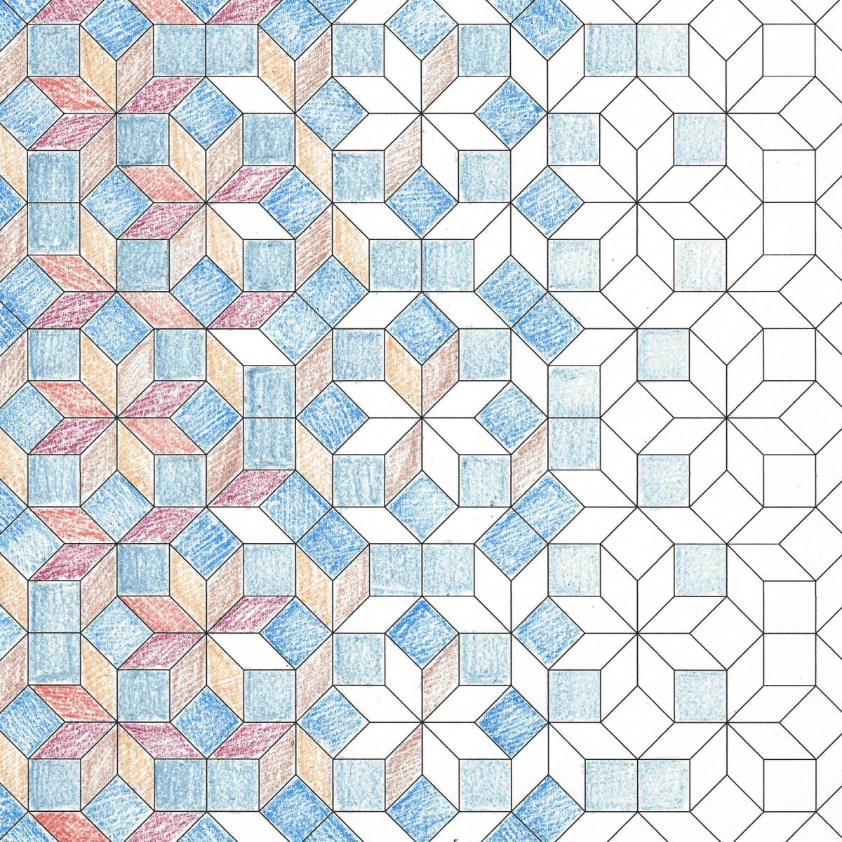 Snowflake, Seashell, Star | Maxwell's Demon