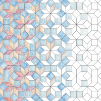 Snowflake, Seashell, Star | Maxwell's Demon